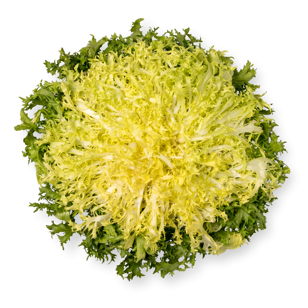 Full Range – Premium Fruits & Vegetables